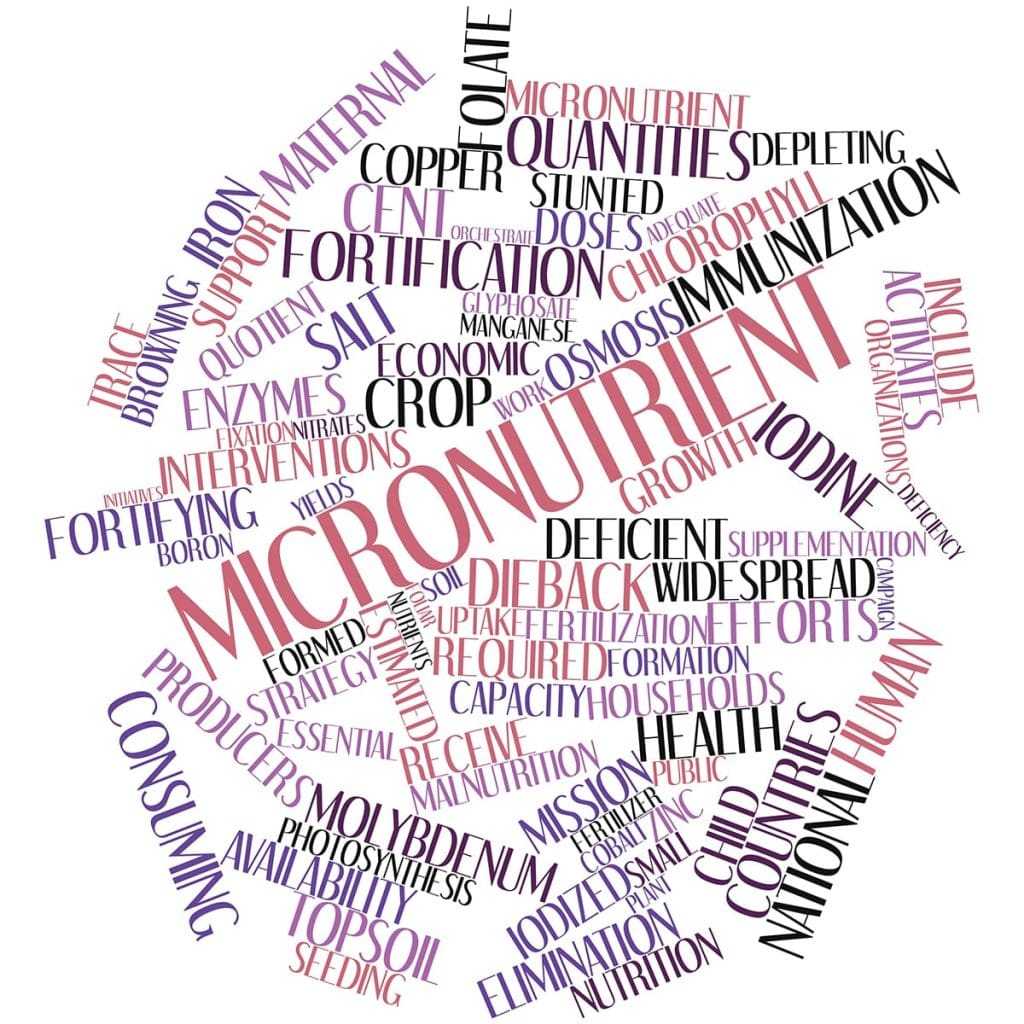 Cellular Micronutrient Assay – Test Smartly Labs