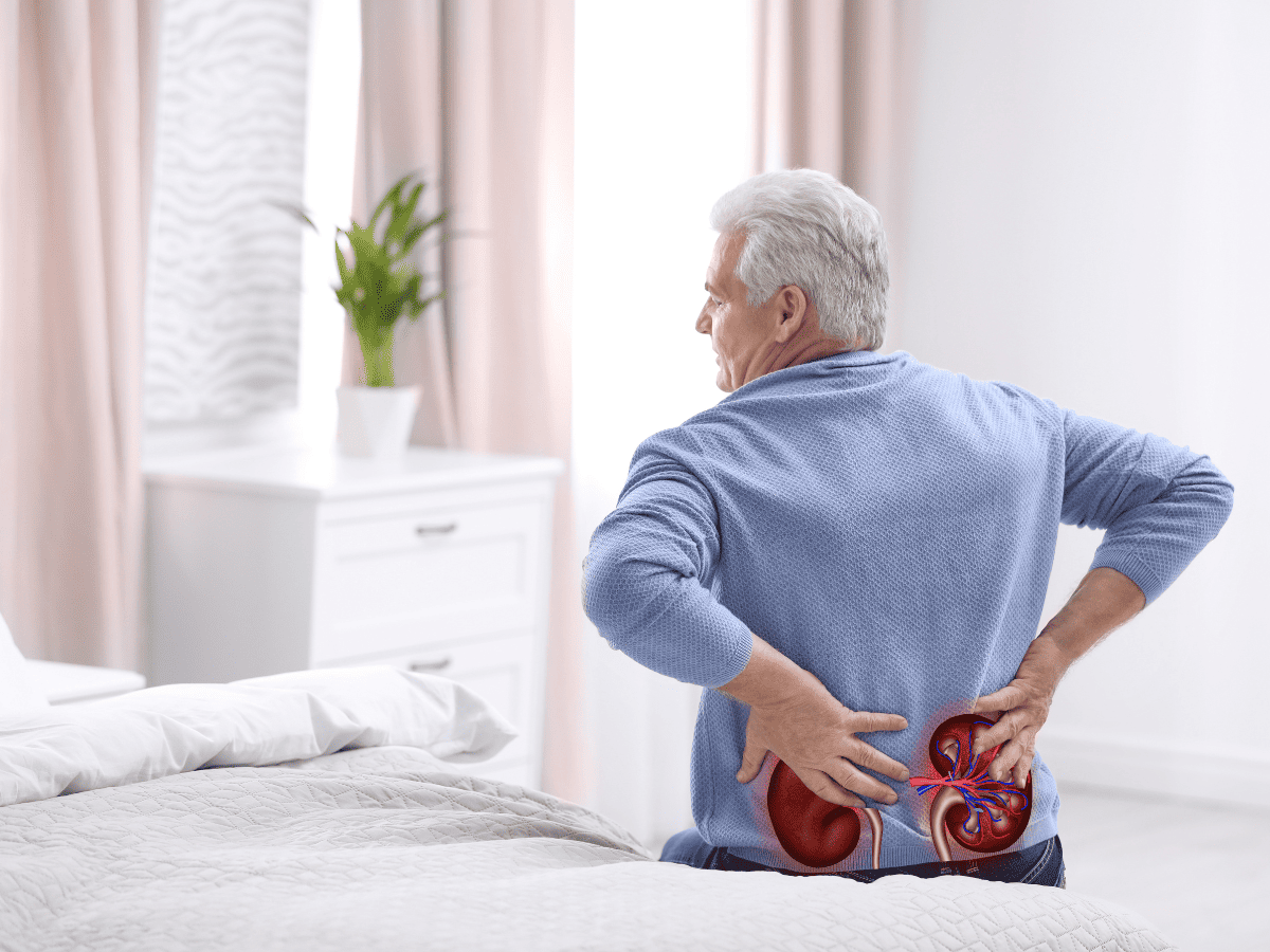 Kidney Function Testing | Test Smartly Labs